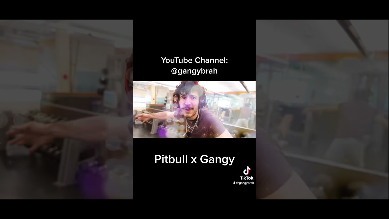 Gangy & Pitbull a dynamic duo fr #gangy #viral - YouTube