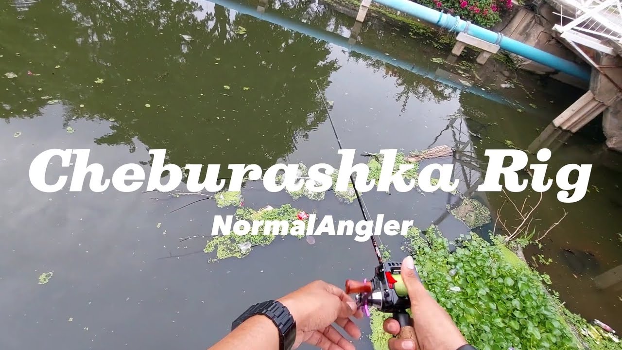 Cheburashka Rig fishing, Nonthaburi, Thailand : NormalAngler - YouTube