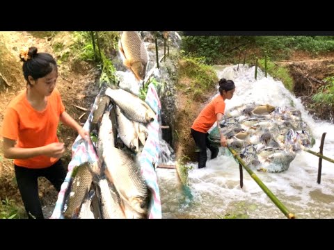 Video compilation Village girls use many methods to catch fish in ...