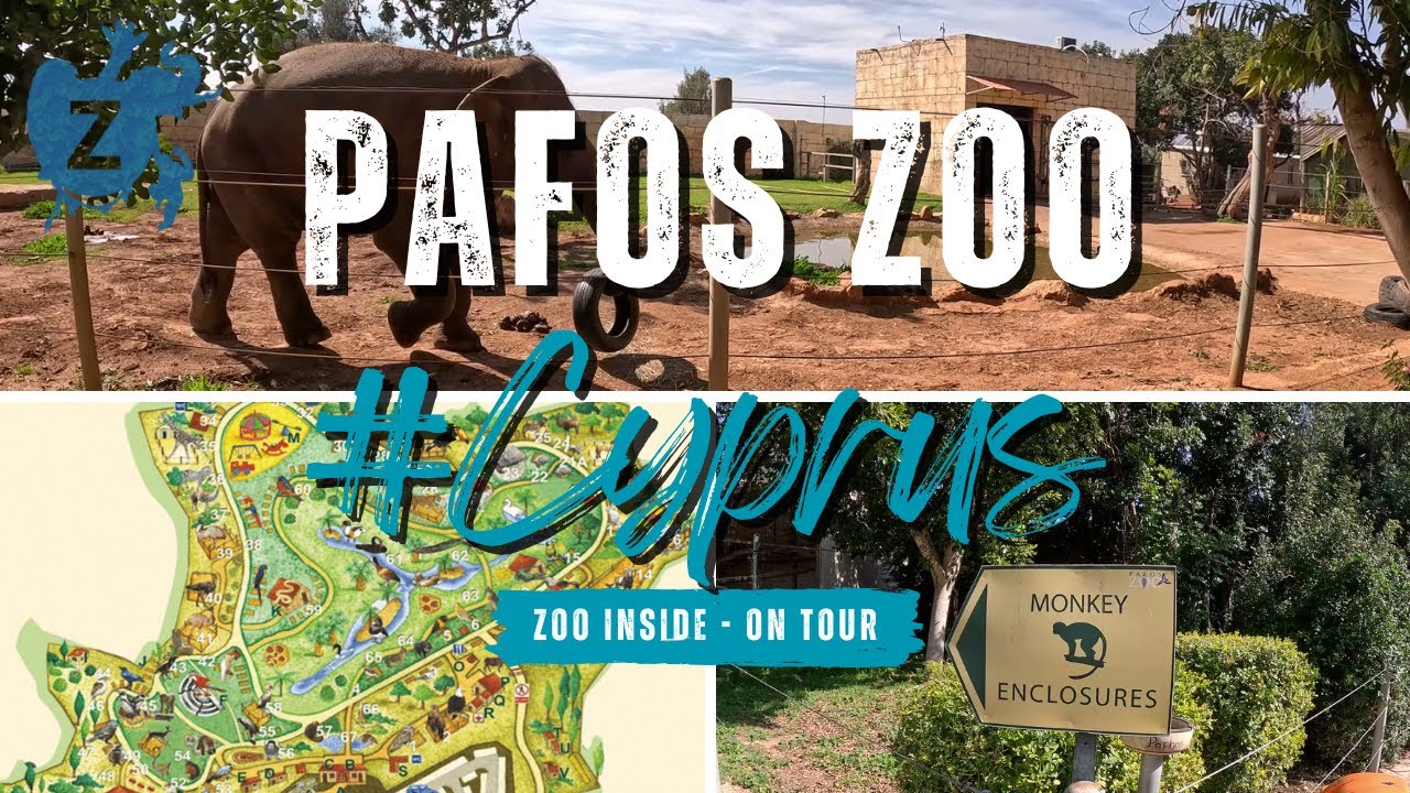 Pafos Zoo - Cyprus - YouTube