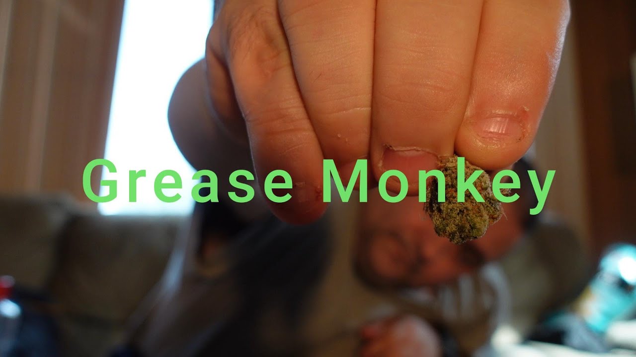 grease monkey strain - YouTube