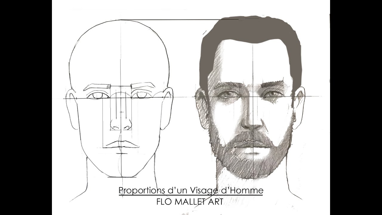 Dessiner Les Proportions Du Visage Dessiner Tout De Suite Et