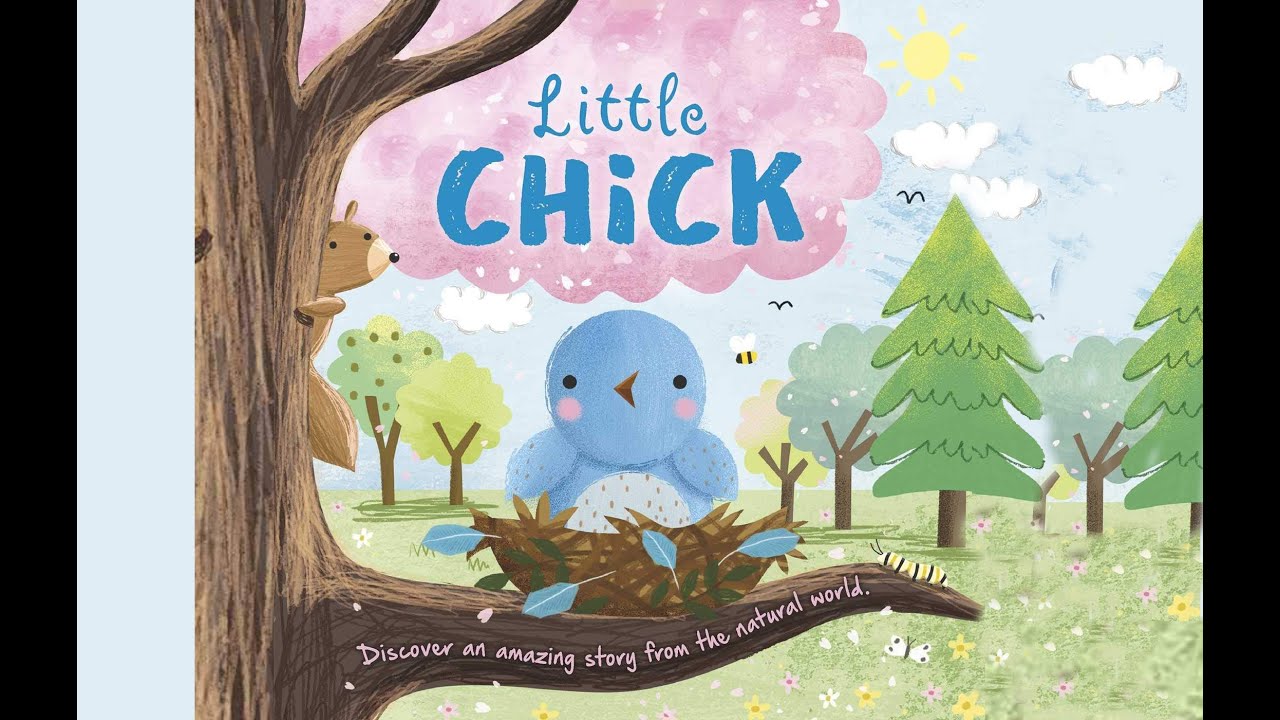 Little Chick | A baby bird grows up through the seasons - YouTube