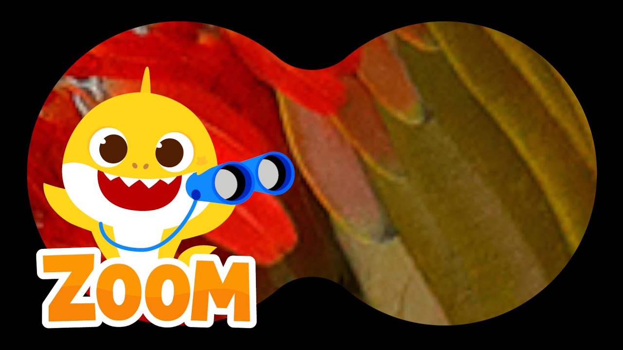 Animal Puzzle with Baby Shark | Guess the Animals | Zoom Zoom Zoom ...