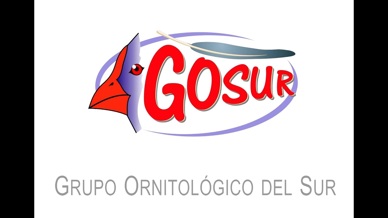 Gatos en el Parque del Alamillo. Entrevista de Onda Cero a GOSUR - YouTube