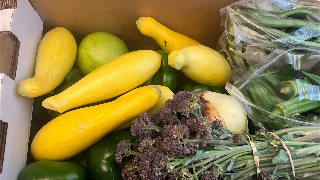 Charlie’s U Pick Mixed Box Vegetables week 5 - YouTube