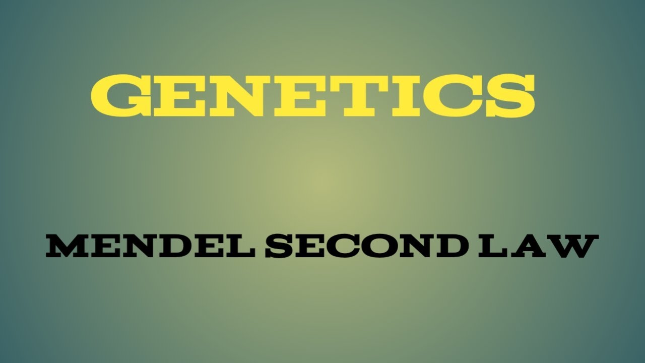 Mendel's second law of inheritance # Dihybrid cross # lawofindependent ...