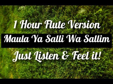 Maula Ya Salli Wa Sallim || 1 hour flute Version || Heart touching Flute Nasheed || #copyrightfree