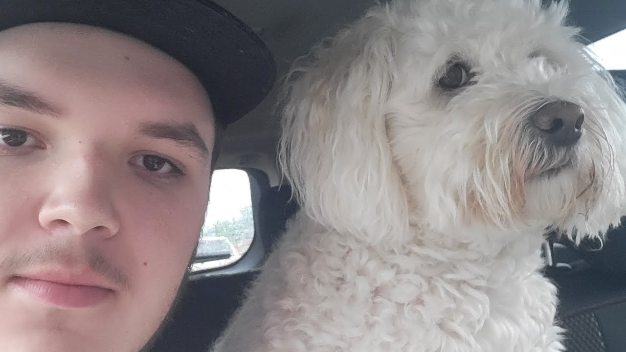 Random vlog - YouTube