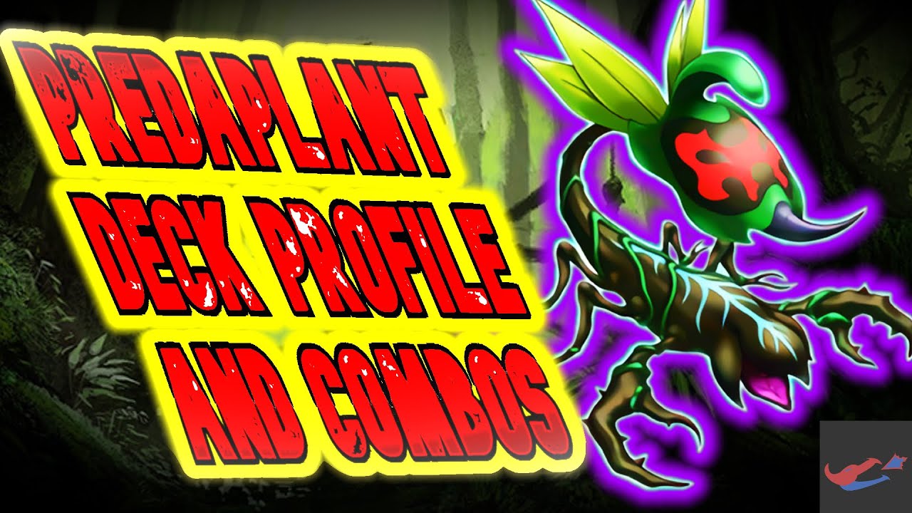 Yu-Gi-Oh! *IN DEPTH* Predaplant Deck Profile And Combos October 2021 ...