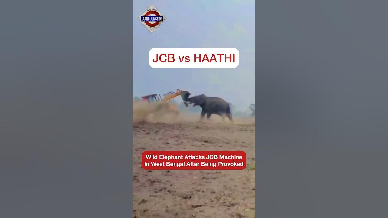 Wild Elephant Attacks JCB Machine in West Bengal After Being Provoked - YouTube
