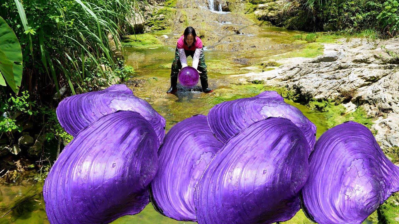 🎁😱Open the giant purple clam, which contains countless charming purple ...