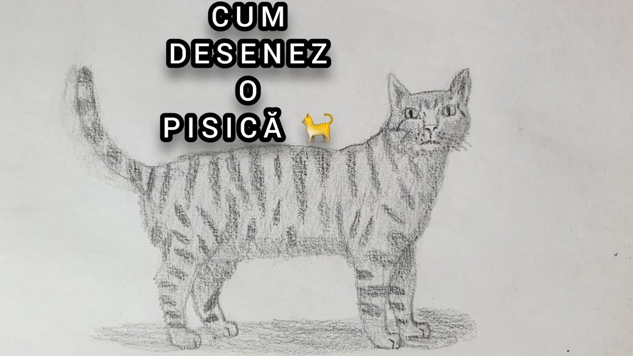 Cum desenez o Pisică 🐈 | Desene în creion | - YouTube