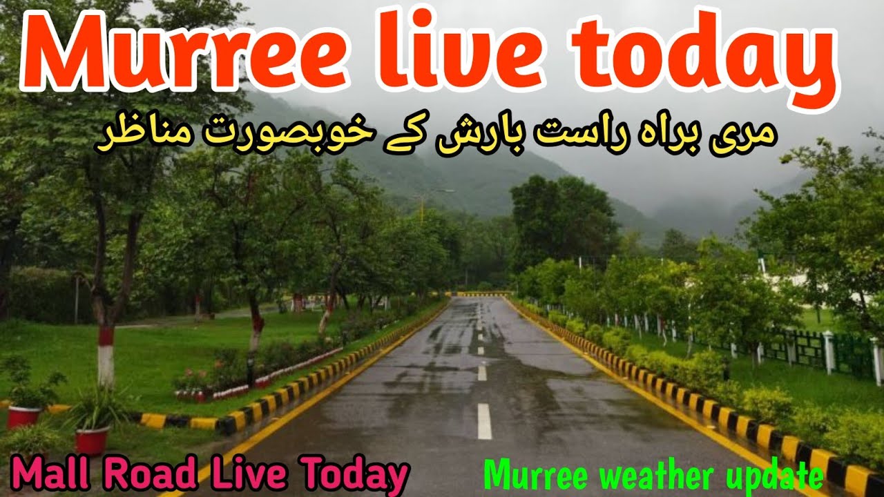 Murree live today | murree weather today | Mall Road Live Today #murree ...