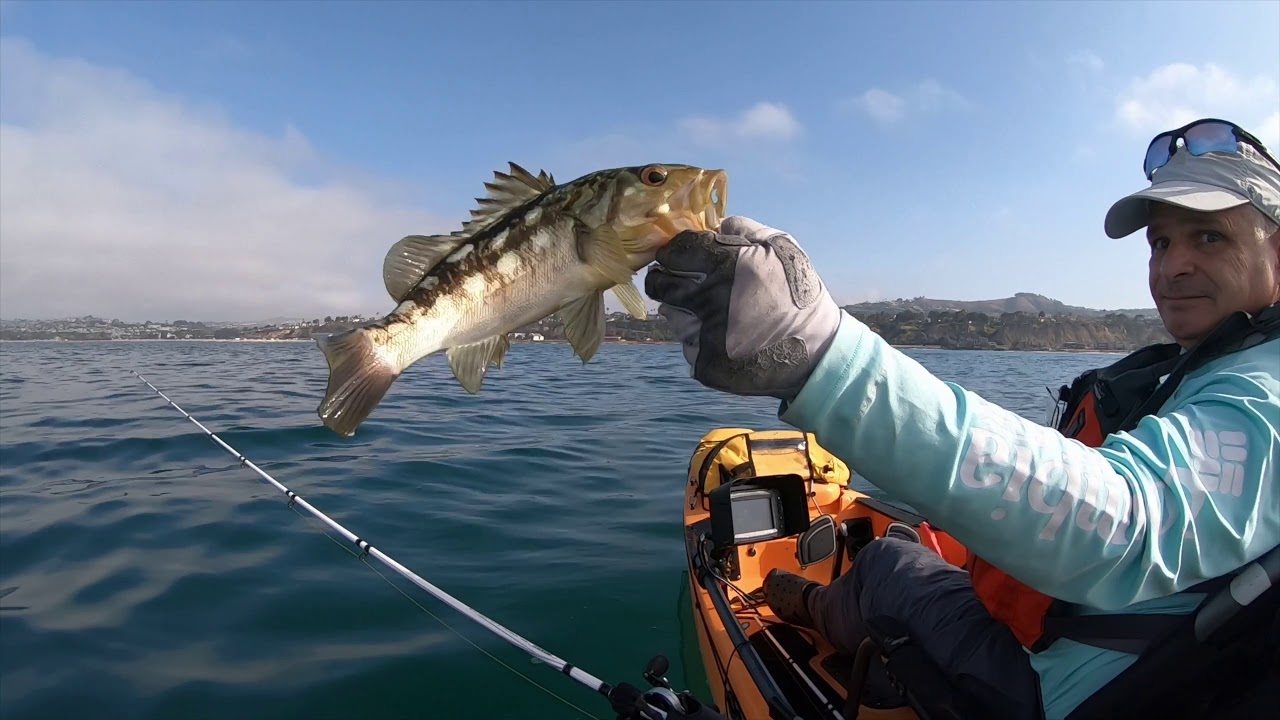 Kayak fishing Doheny San Juan beach area for Bass & Sheepshead - YouTube
