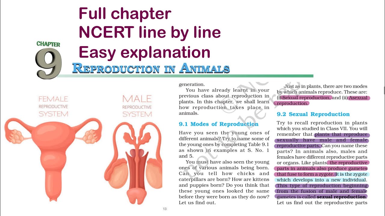 Class- 8th | Chapter - 9 | Reproduction in Animals | FULL CHAPTER ...