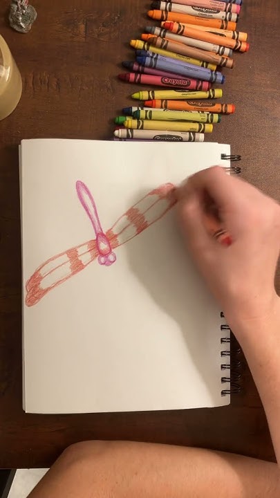 Pink Dragonfly Crayon Doodle #art - YouTube