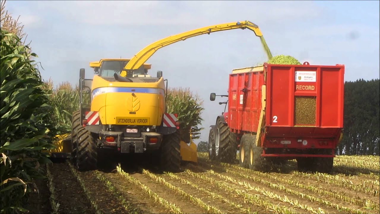 New Holland FR 9080 eerste mais hakselen 2012 - Vandenbulcke uit ...