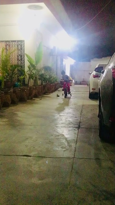 Quarantine Gardening - E2 - YouTube