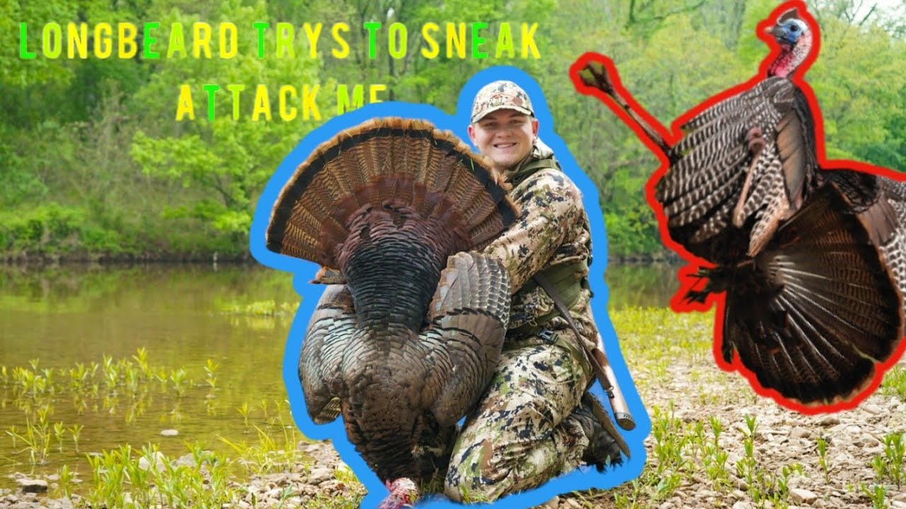 Longbeard At 10 Steps - YouTube