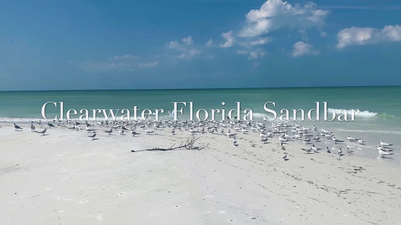Clearwater Florida Sandbar - YouTube