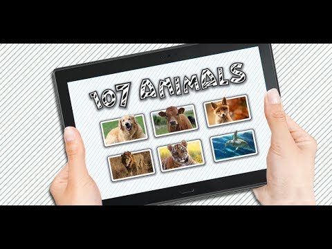 107 Animals - a fun app with a wide selection of animals for the kids