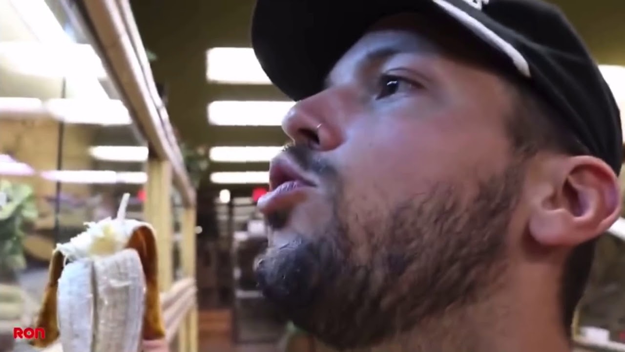 Veno moose - YouTube