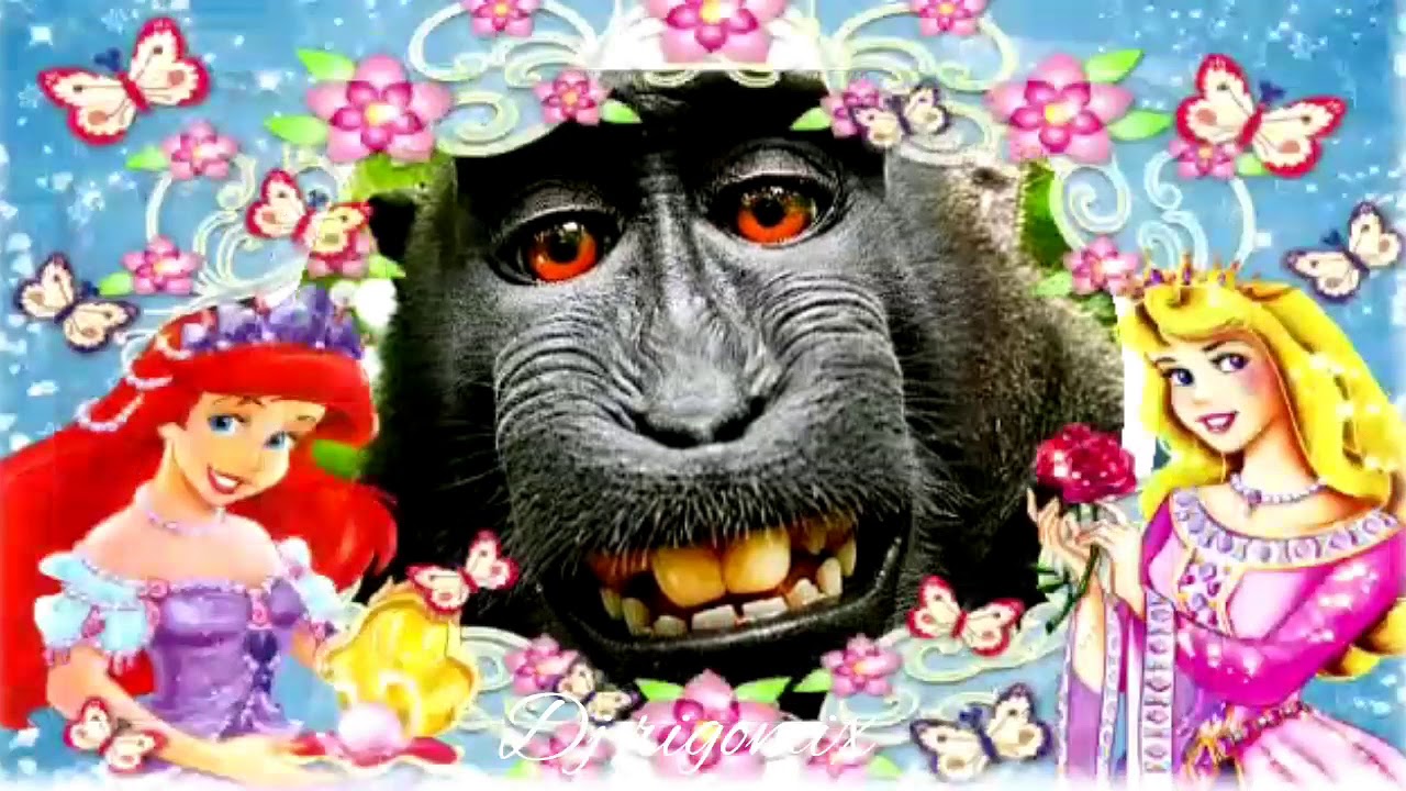 Los karrileros del norte-el cara de chango merequetengue 2 🎷8 - YouTube