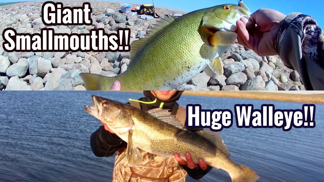 Fishing for BIG South Dakota Smallmouths and Walleyes!!! - YouTube