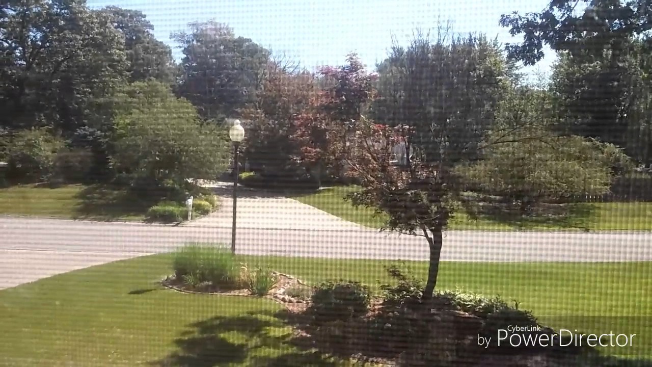 Tom the Hand: The Movie (2017) - After Credits Scene - YouTube