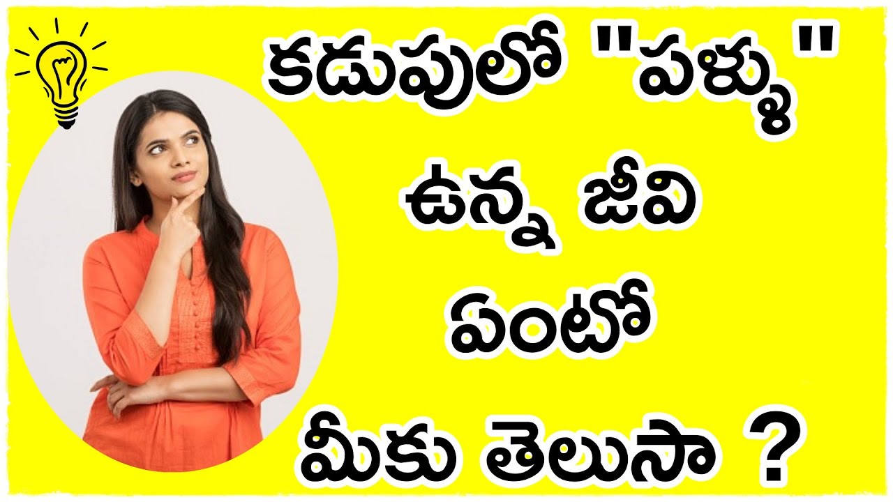 interesting-facts-in-telugu-unknown-facts