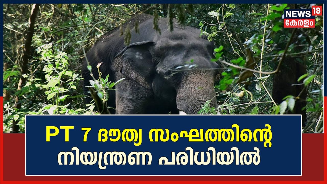 Palakkad Elephant Attack | PT 7 ദൗത്യസംഘത്തിന്റെ നിയത്രണ പരിധിയി ...