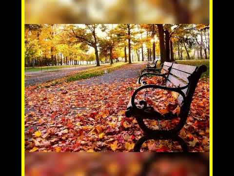 (سلسلة الفصول المحبوبة). نار🔥 دمار💥    مين 😕بيحب فصل الخريف😊😄😇