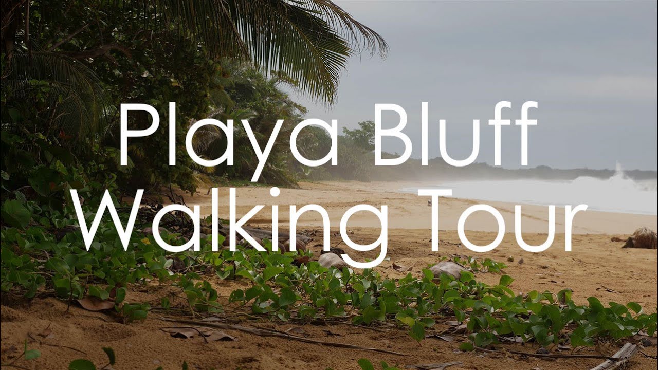 Playa Bluff, Bocas del Toro, Panama - 4K UHD - Virtual Trip - YouTube