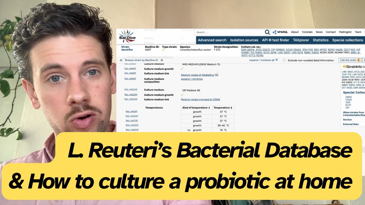 How to culture a probiotic - L Reuteri example - YouTube