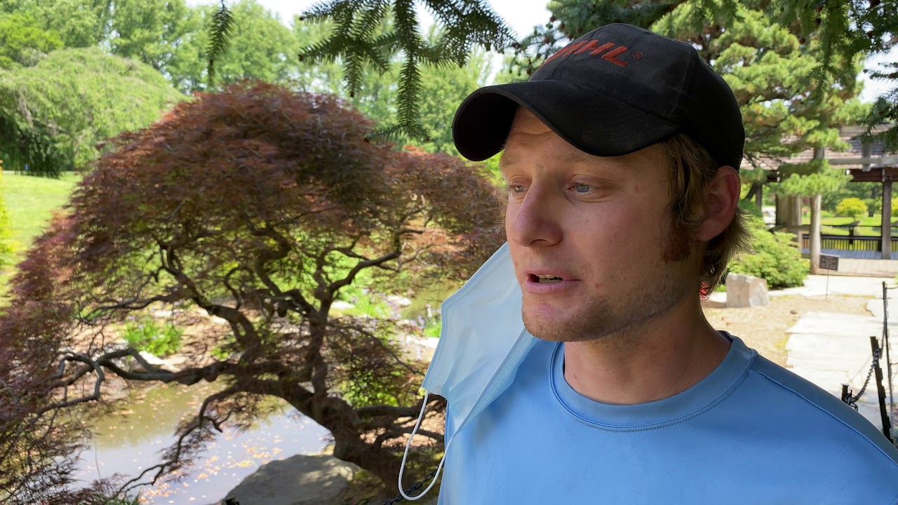 Brookside Gardens: Stone and Plant Updates in the Gude Garden - YouTube