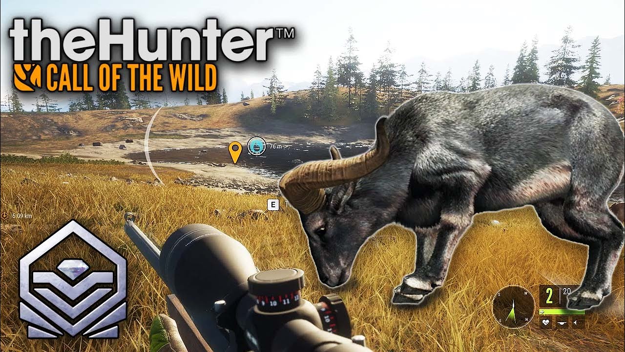 Hunting Rare Blue Sheep DIAMOND in Sundarpatan | theHunter: Call of the ...