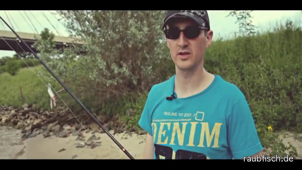 Kunstköder im Test: Balzer Shirasu Crazy Crawler - YouTube