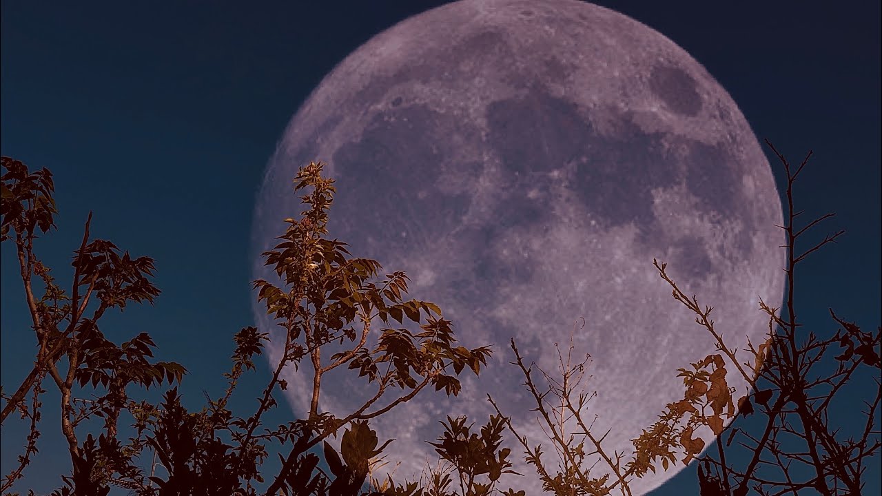LIVE... FULL SUPER MOON|FLOWER MOON|MAY’S SUPER MOON 2020 - YouTube