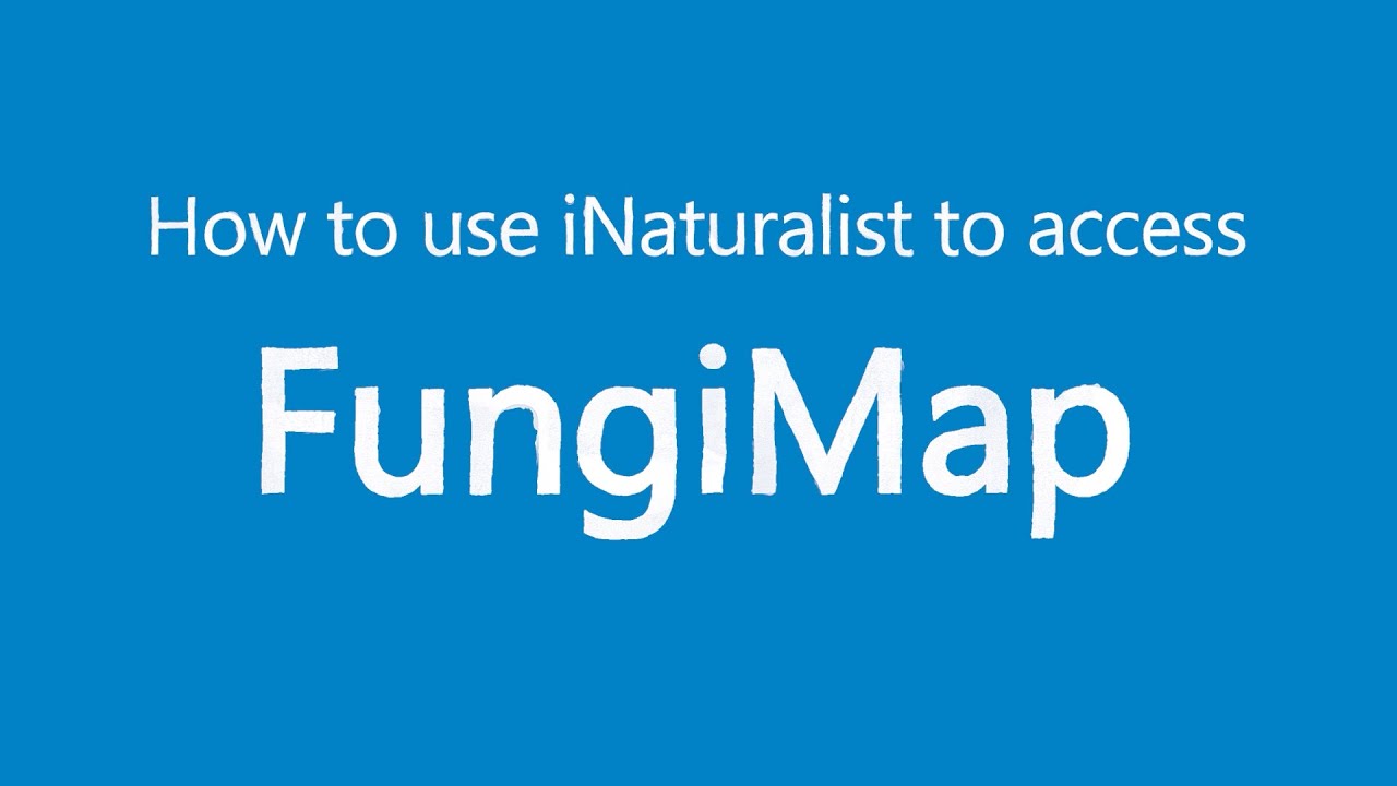 How to log your fungi sightings on iNaturalist - YouTube