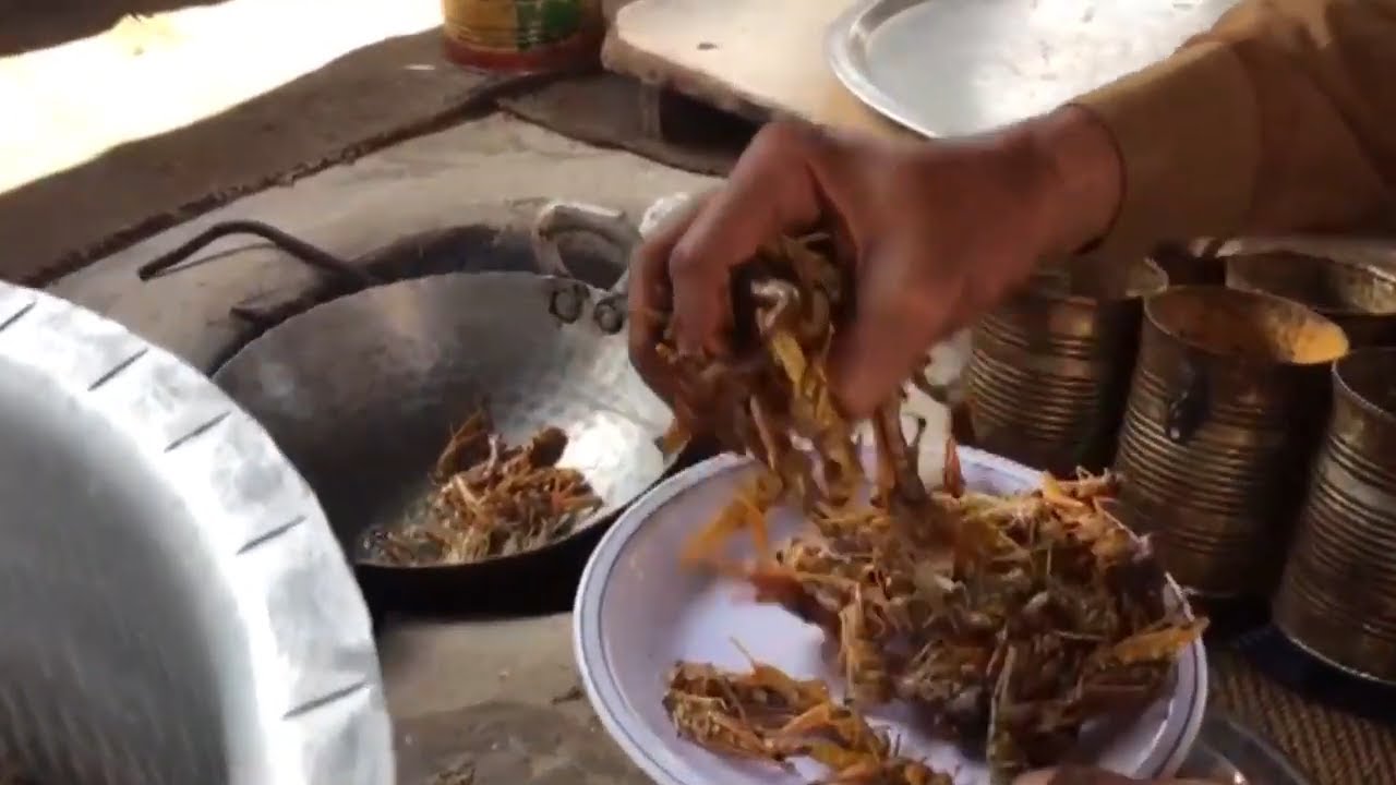 Tiddi Dal Attack Become Food For Farmers in Thar | United TV - YouTube