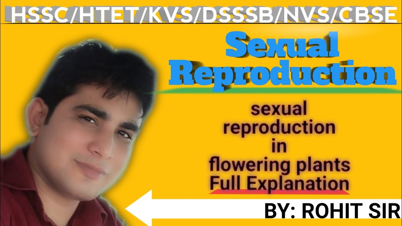 Sexual Reproduction In Flowering Plants Cbse Kvs Nvs Htet Hssc