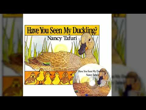 노부영 Have you Seen My Ducklings - YouTube