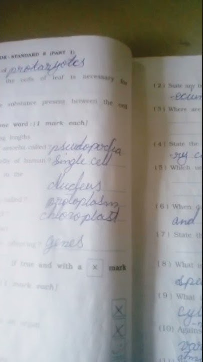 class 8 chapter 8 cell-structure and functions part 2 science workbook full solution - YouTube