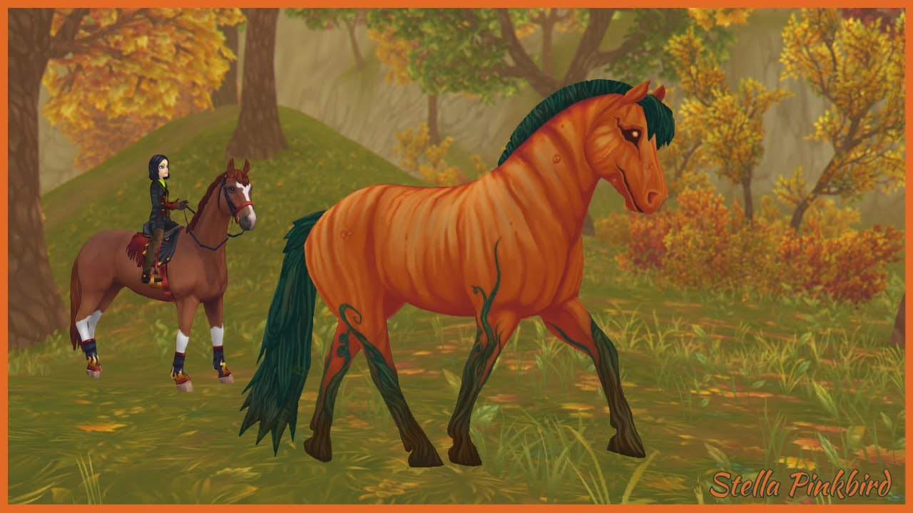Perfect Little Pumpkin (Buying the Pepita) | Star Stable Online - YouTube