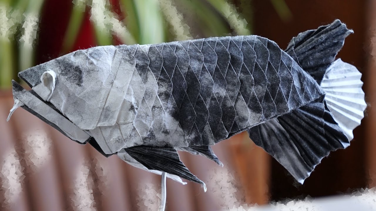 Origami Asian Arowana [ Ikuno Riku ] Official Fold! - O-GAMI - YouTube