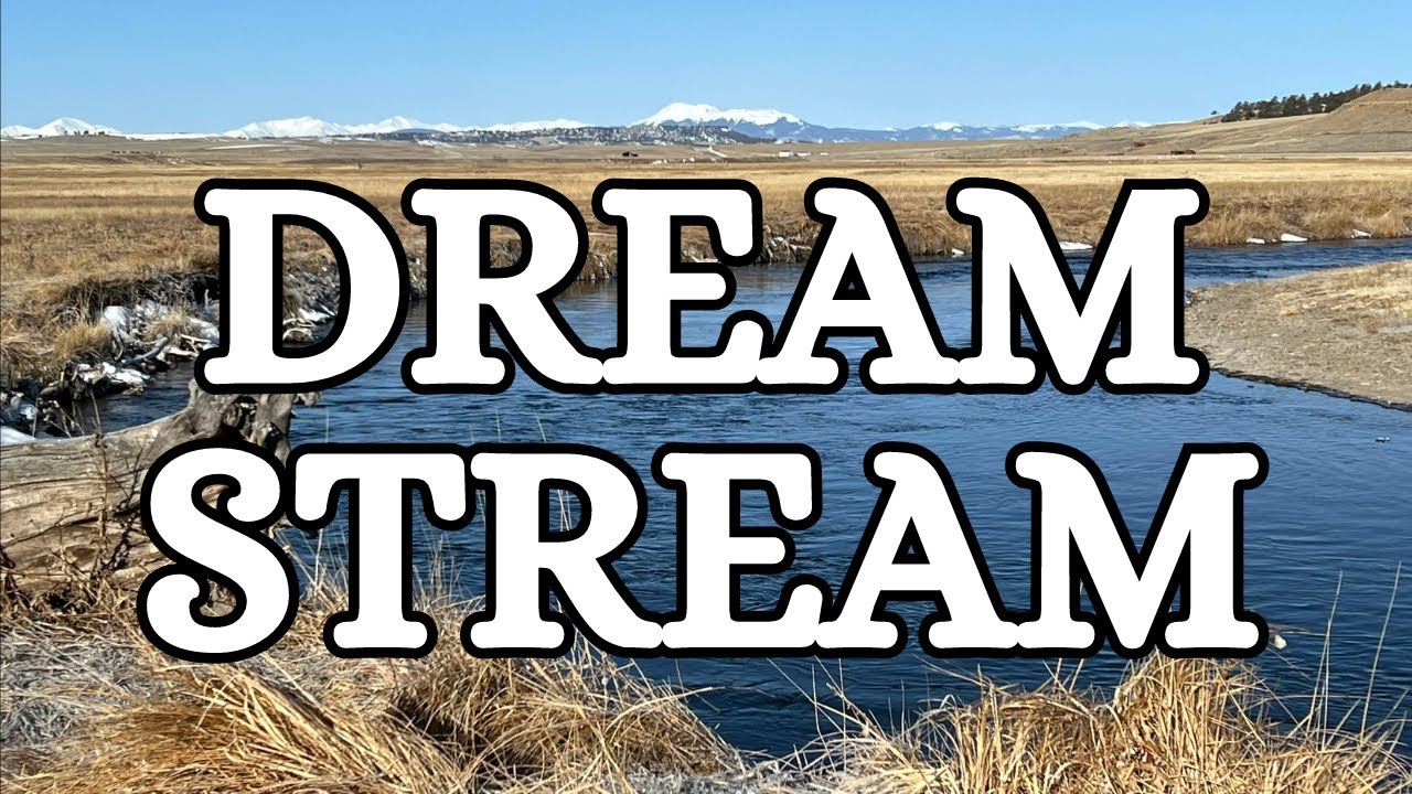 Dream Stream | Cuttbows & Company | March 2024 - YouTube