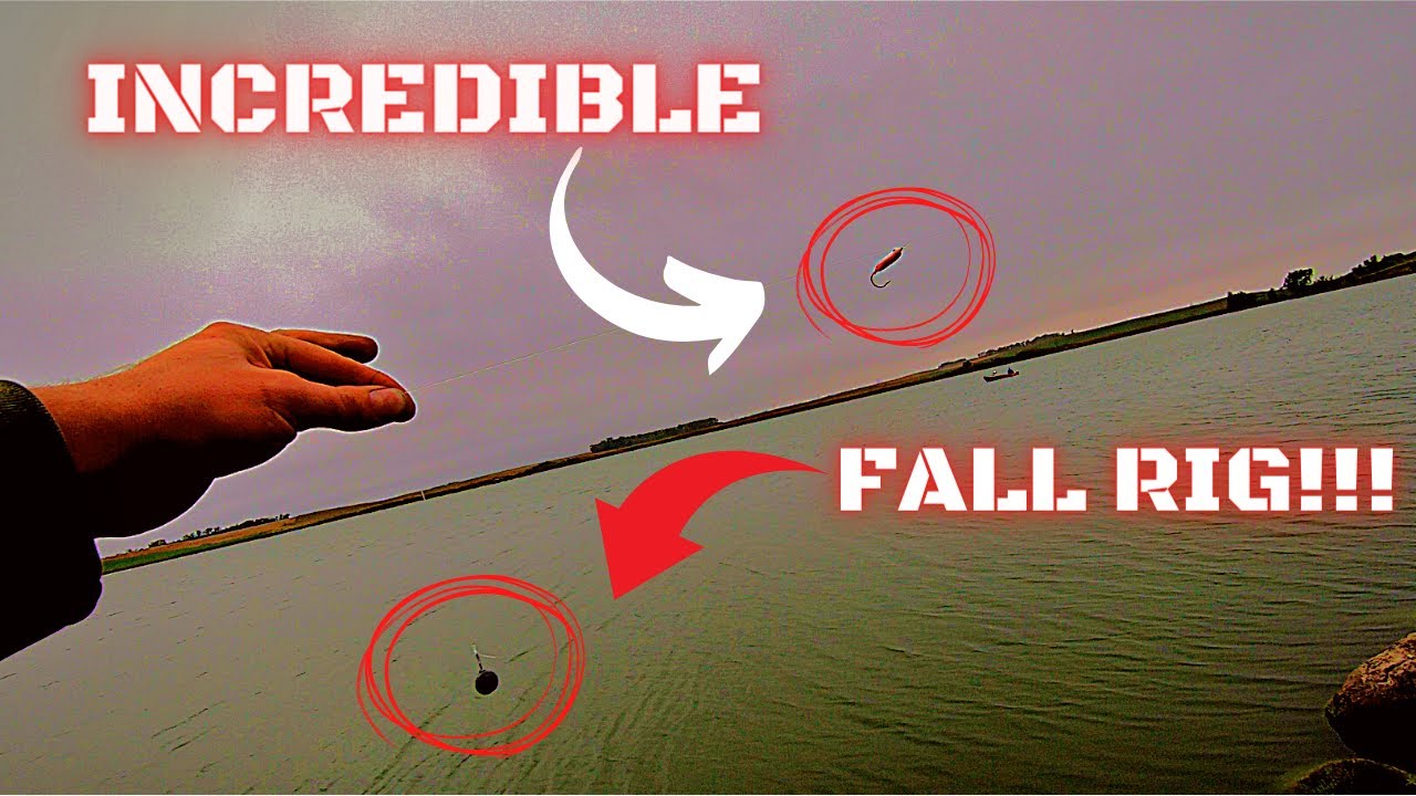 (INCREDIBALE Fall Multi-species Rig) Everyone!! Should be Using this ...