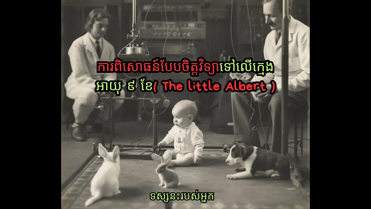ការពិសោធន៍បែបចិត្តវិទ្យាទៅលើក្មេងអាយុ ៩ ខែ ( Little Albert Experiment ...
