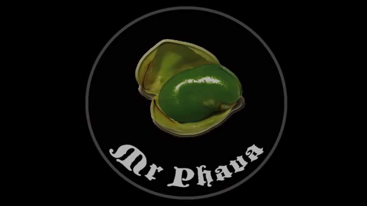 Mr Phava - YouTube
